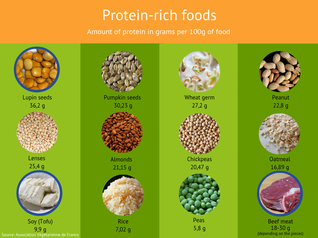 Is tofu a good animal protein?