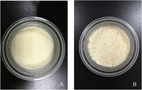 Is tofu made with bacteria?