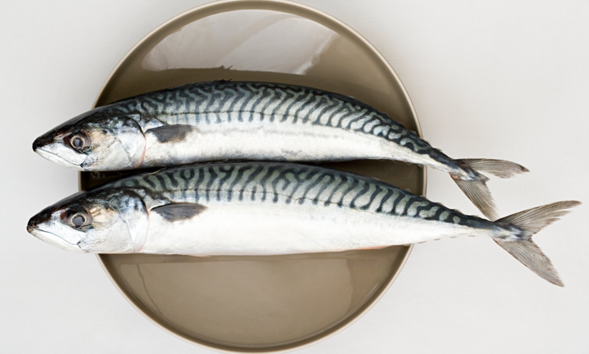 Is too much mackerel bad for you?