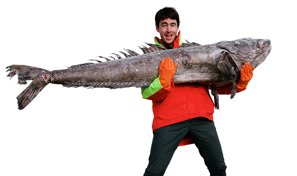 Is toothfish a fatty fish?