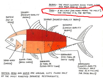 Is tuna a lean fish?