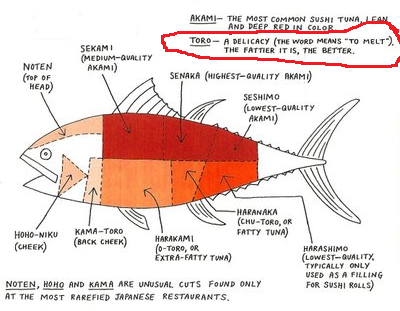 Is tuna a lean or fatty fish?