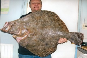 Is turbot a big fish?