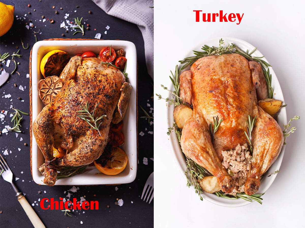 Is turkey better than chicken for weight loss?