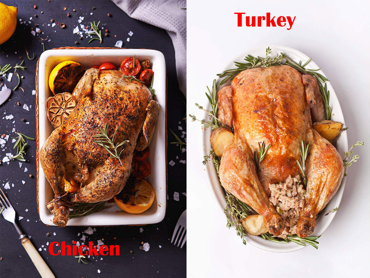 Is turkey or chicken better for a diet?