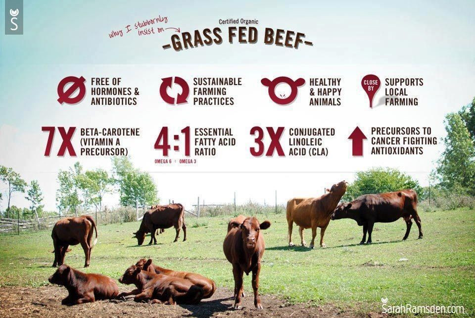 Is Uruguay beef grass fed?