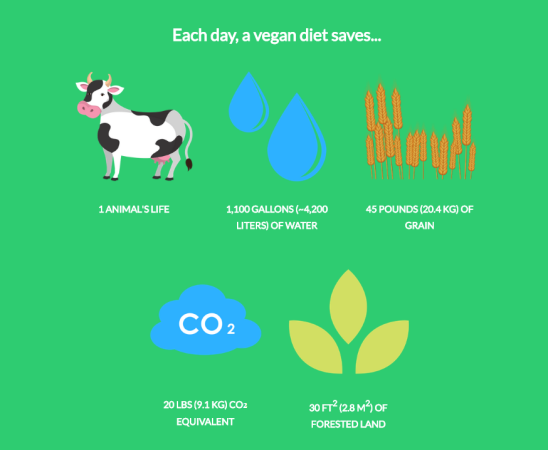 Is veganism better or worse for the environment?