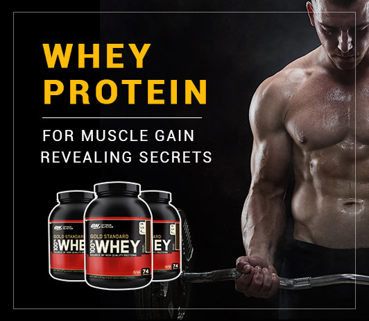 Is whey protein good for building muscle?