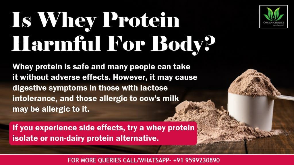 Is whey protein harmful for body?