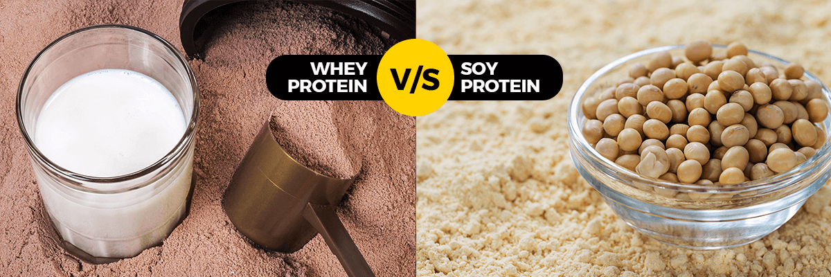 Is whey protein or soy protein better for athletes?