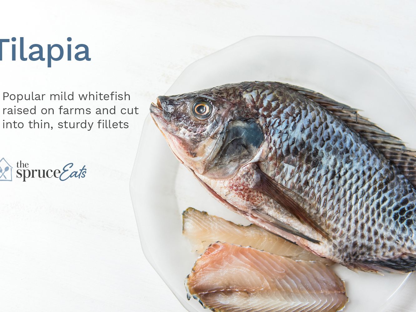 Is whitefish a tilapia?