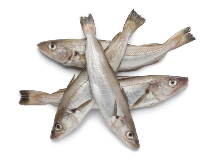 Is whiting a healthy fish?