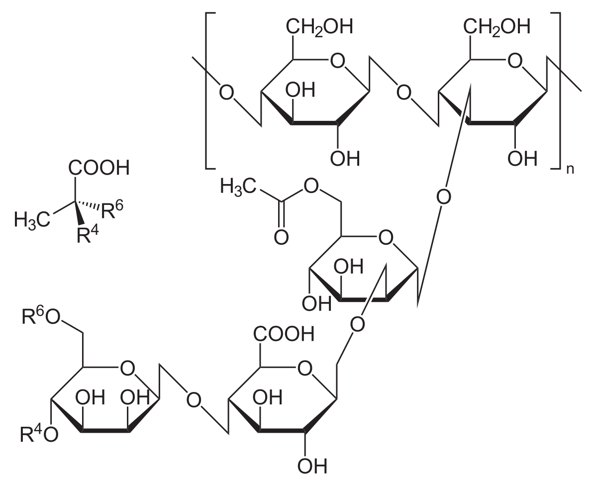 Is xanthan gum another name for sugar?