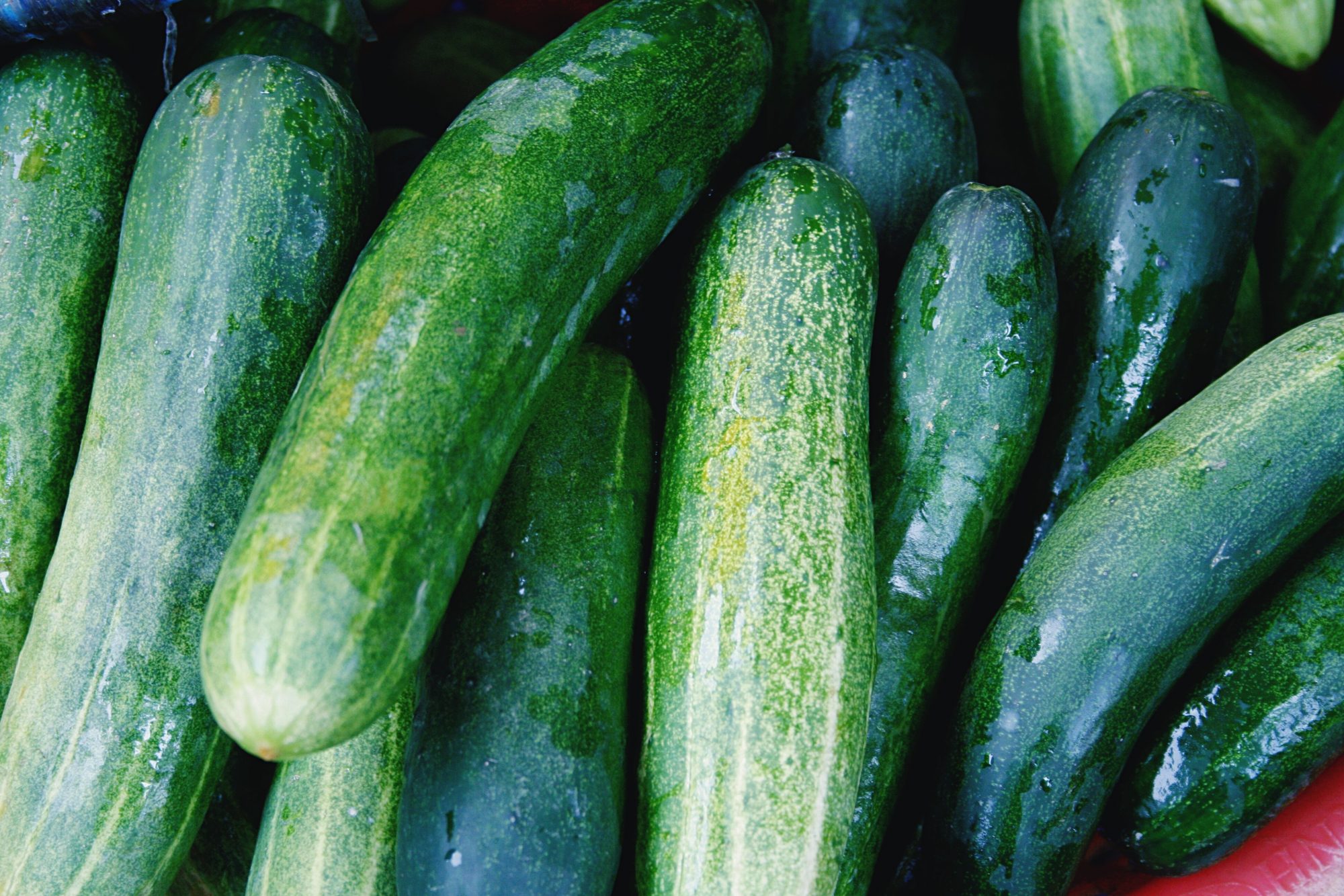 Is zucchini a fruit or vegetable?