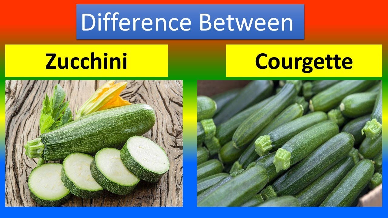 Is zucchini the same as courgette?