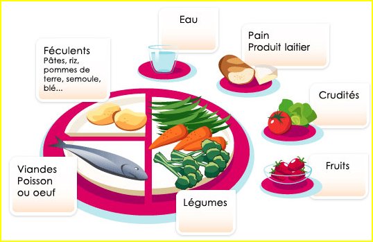 Quelle est l'alimentation ?