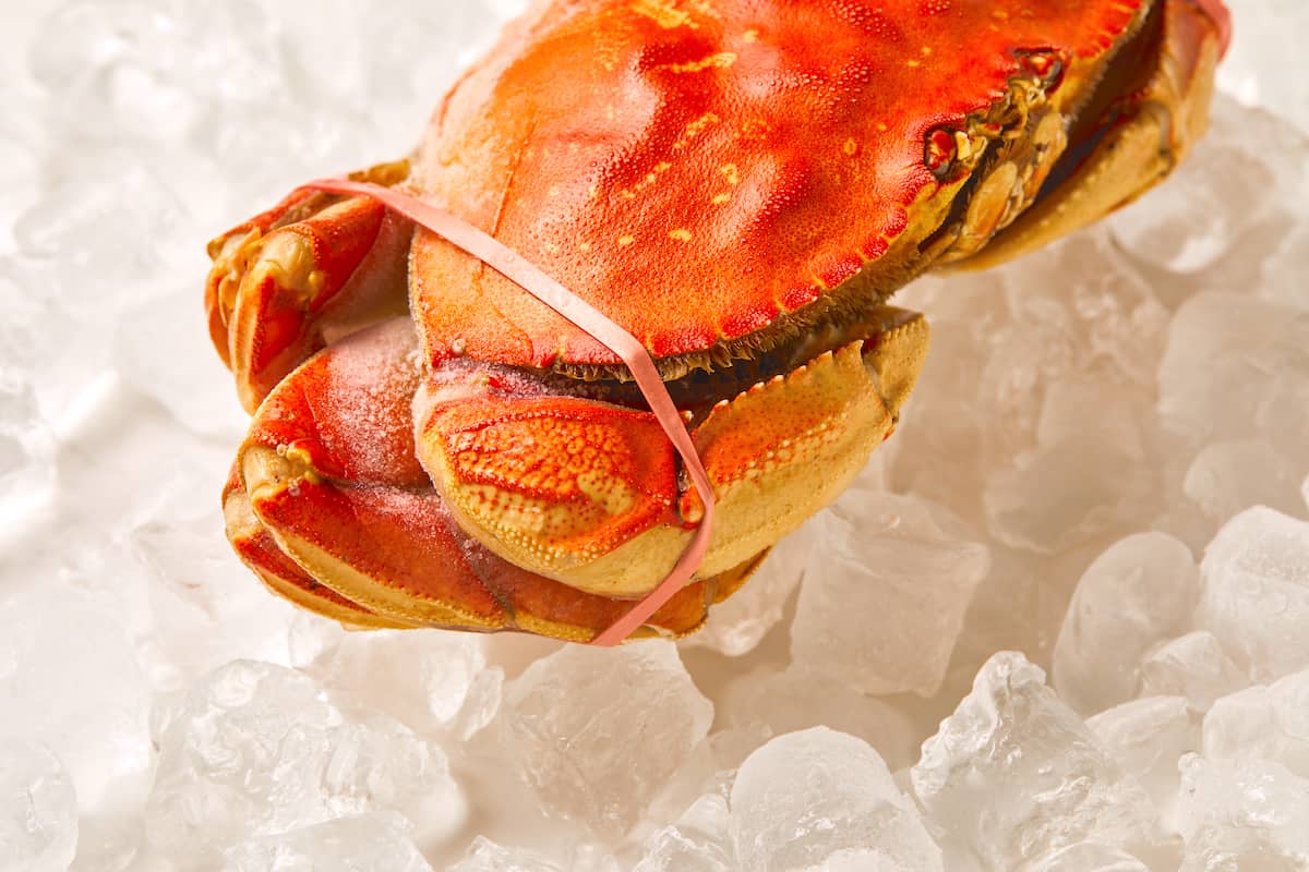 Should crab be frozen?