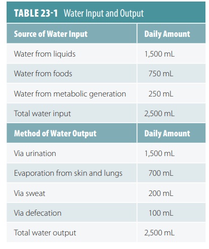 Should fluid intake be equal to output?