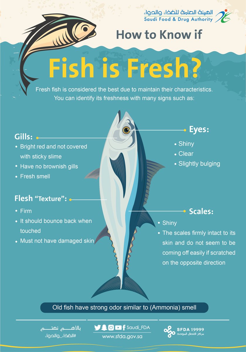 Should frozen fish have a smell?