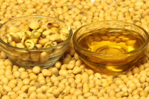 Should I avoid soybean oil?