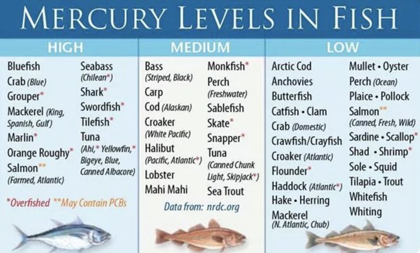 Should I be worried about mercury in fish?