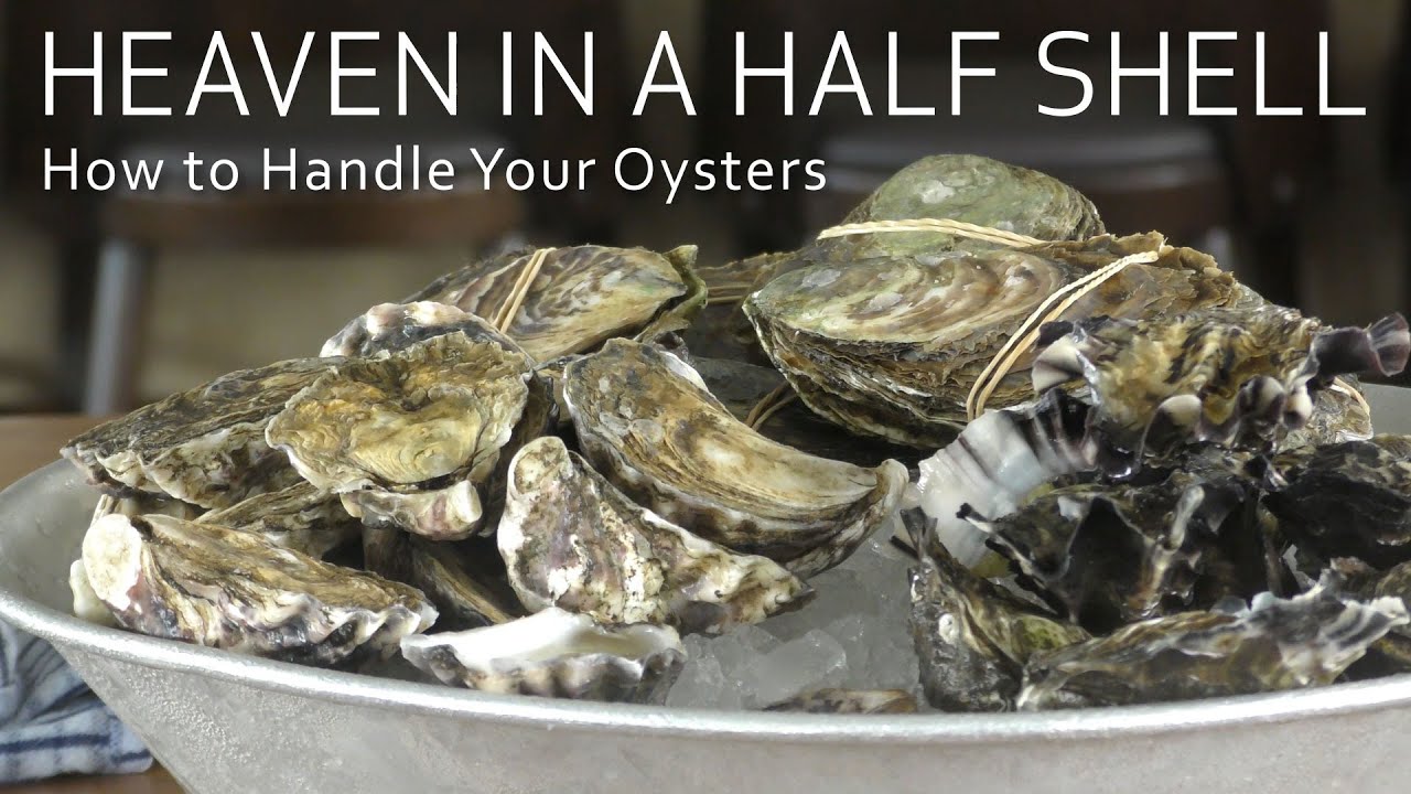 Should I buy pre-shucked oysters?