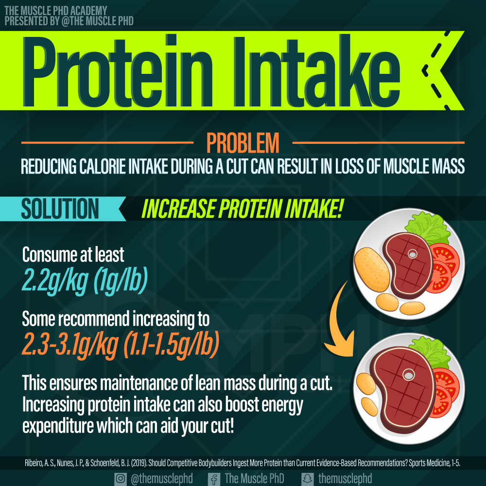 Should I increase my protein intake to lose weight?