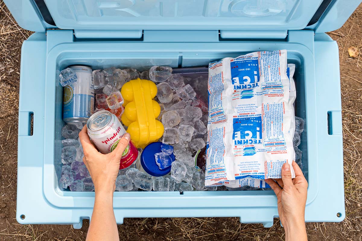 Should I use ice or ice packs in my cooler?