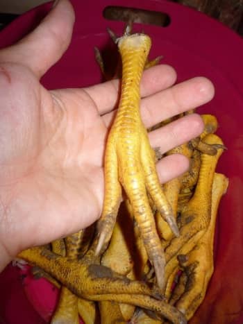 Should I wash chicken feet before cooking?