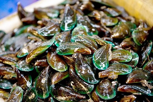 Should shellfish be frozen?