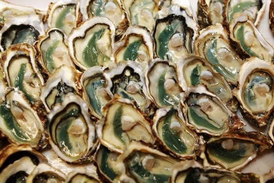 Should smoked oysters be green inside?