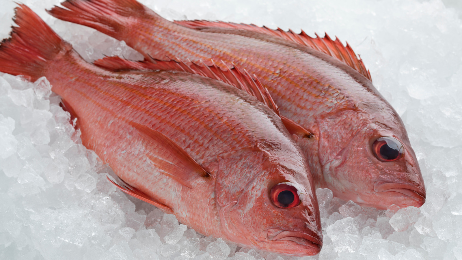 Should snapper be flaky?