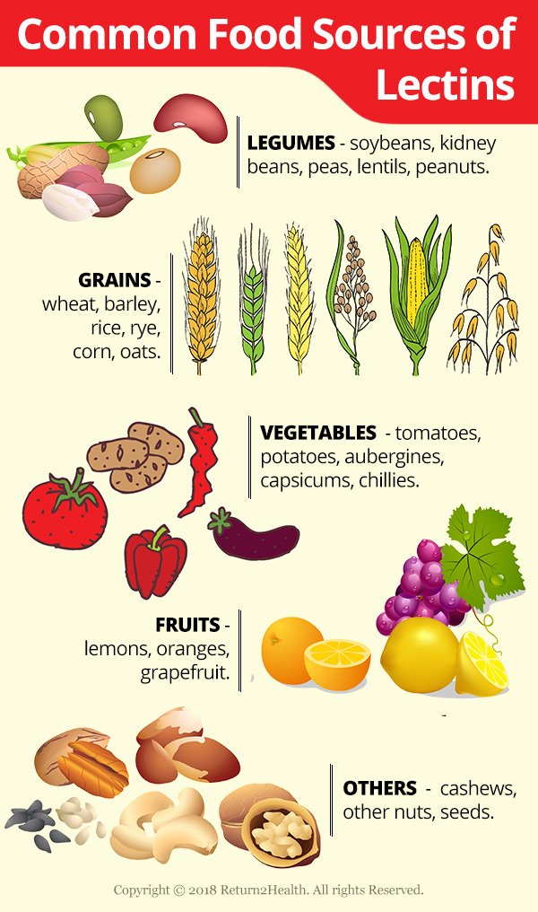 Should we eat lectins?