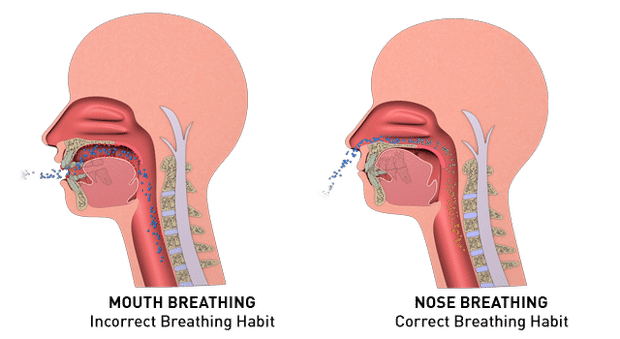Should you breathe in and out through your nose?