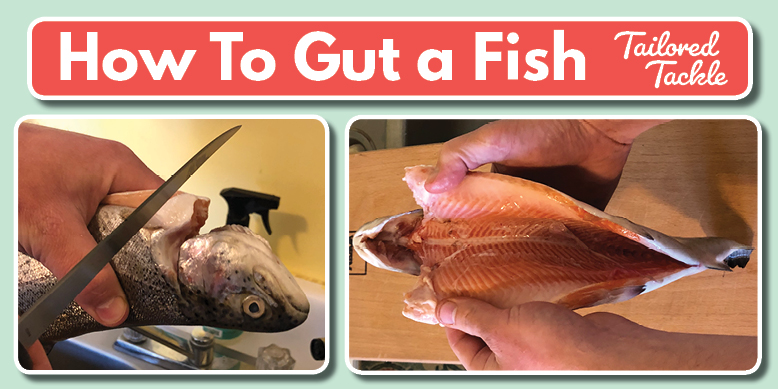Should you gut fish immediately?