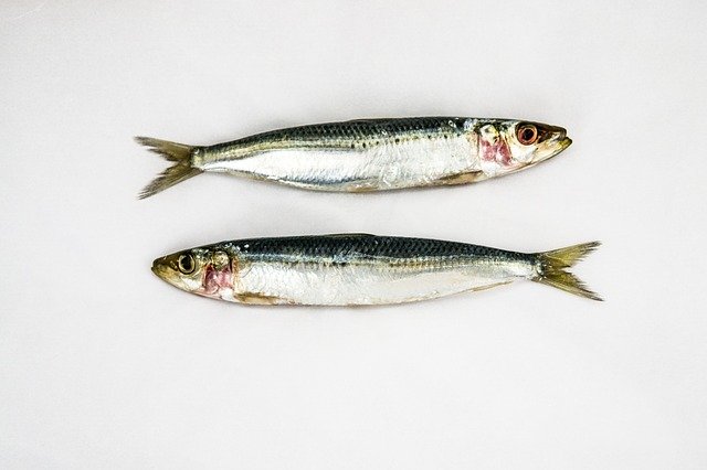 Should you marinate fish overnight?