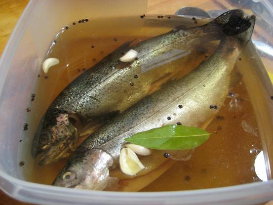 Should you rinse brine off fish?