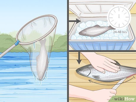 Should you rinse off fish?