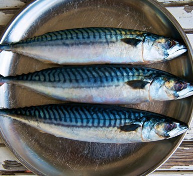 Should you skin mackerel?