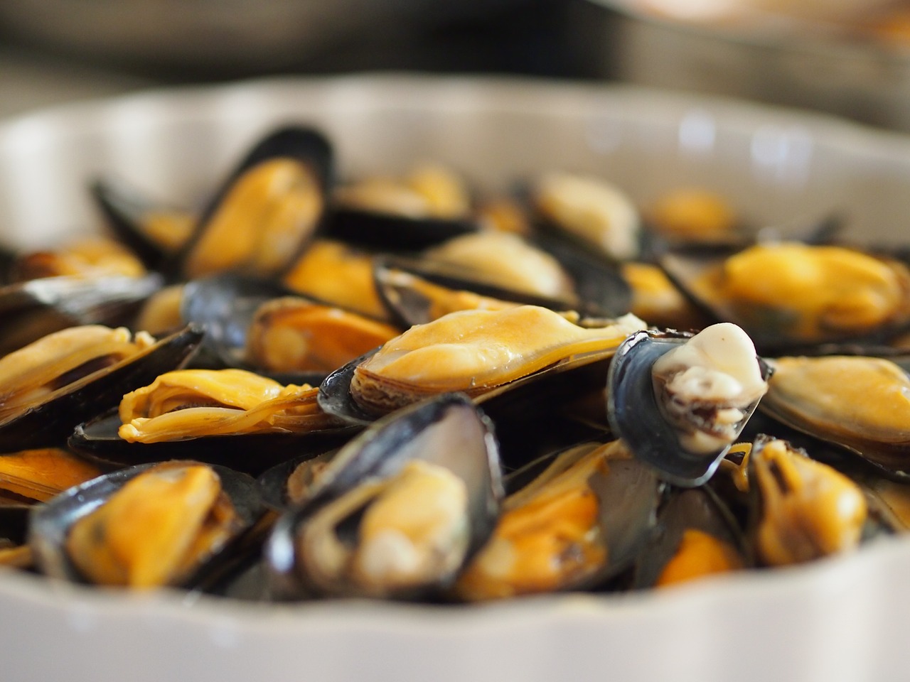 Should you soak mussels and clams before cooking?