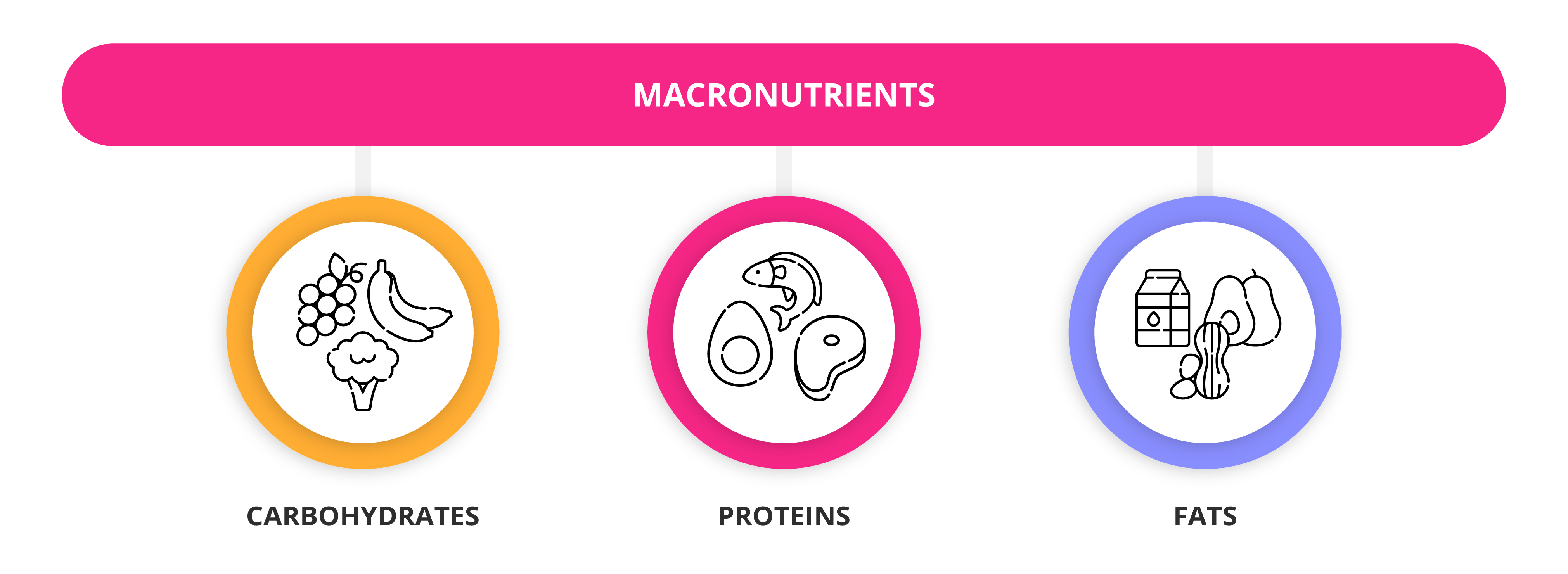 What 4 macronutrients do we need daily?