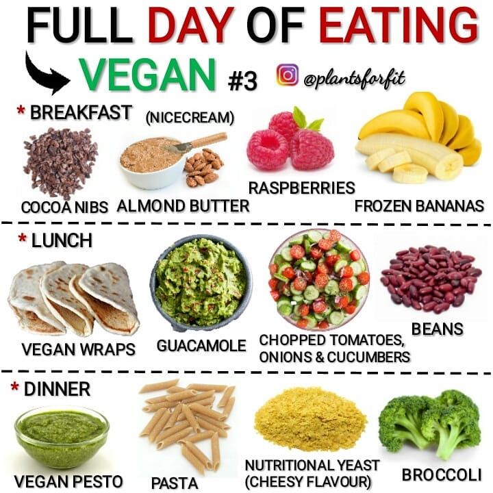What a vegetarian should eat in a day?