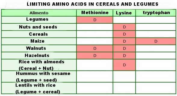 What amino acids are missing from a vegetarian diet?