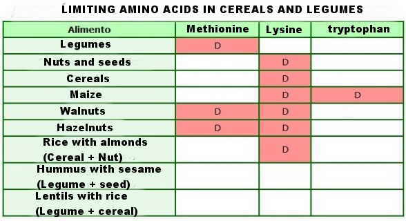 What amino acids are missing in a vegetarian diet?