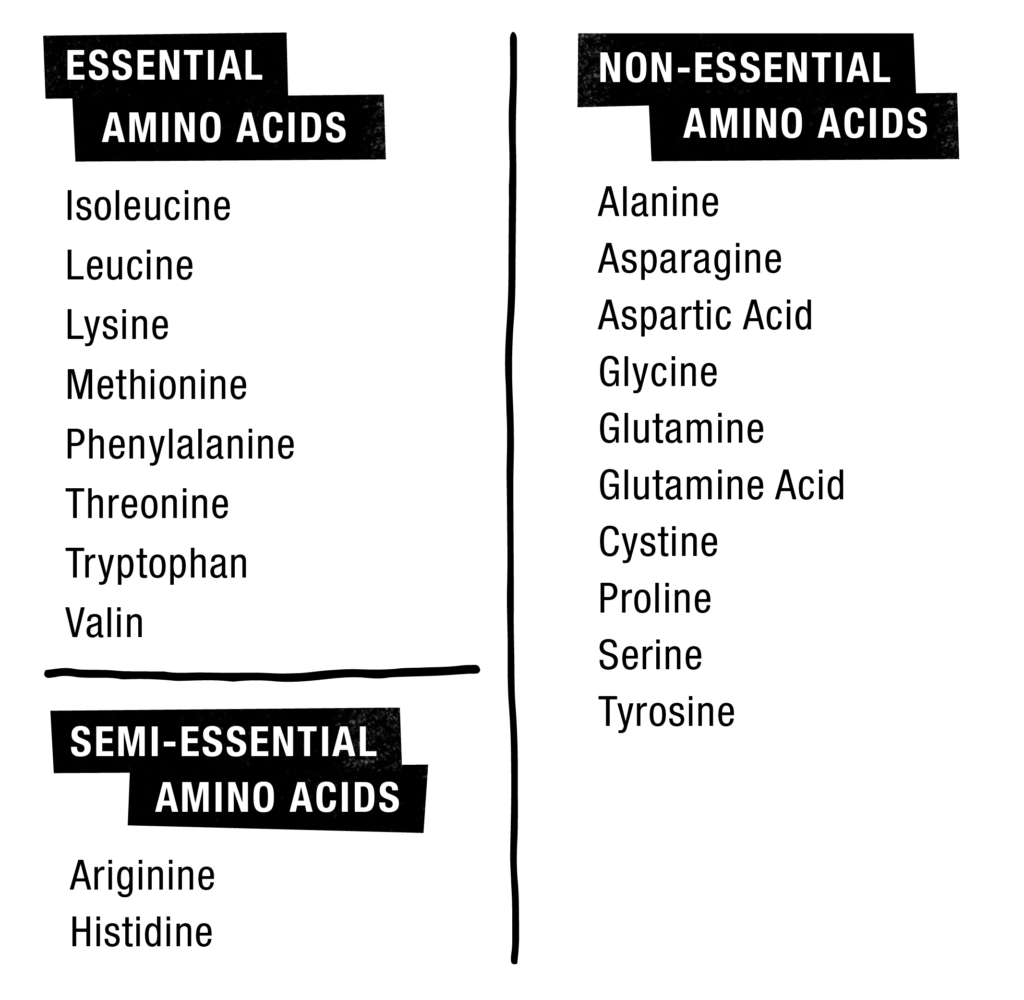 What amino acids do vegetarians not get?