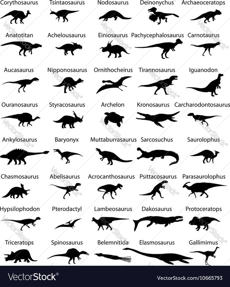 What animal is Cretaceous?