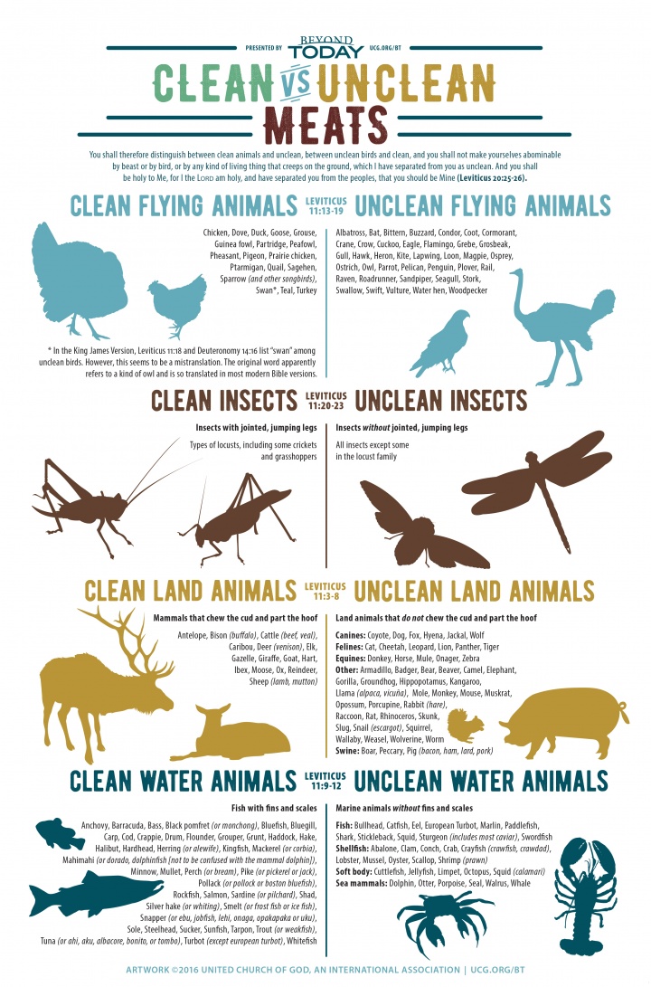 What animals are considered unclean in the Bible?
