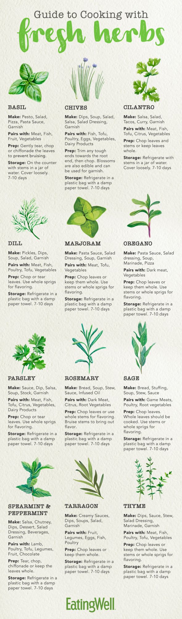 What are 10 of the most common herbs used in cooking?