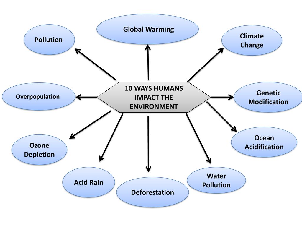 What are 10 ways humans impact the environment?