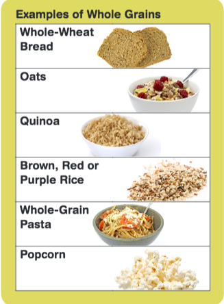 What are 3 examples of foods found in the grain section?